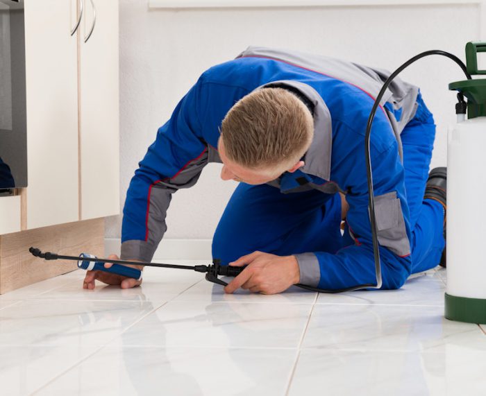 Best Termite & Pest | Pest Control Services in Manchester, KY | About Us